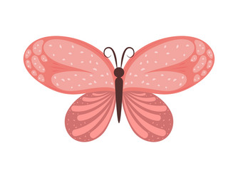 Cute butterfly icon Royalty Free Vector Image - VectorStock