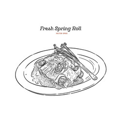 Spring roll Royalty Free Vector Image - VectorStock