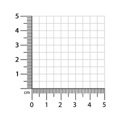 Green polar coordinate circular grid graph paper Vector Image