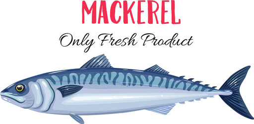 Mackerel fish engraving sketch Royalty Free Vector Image