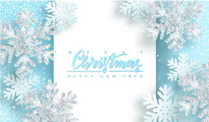 Silver snowflake background Royalty Free Vector Image