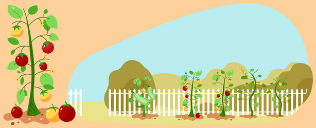 Farming cultivated plot farmland countryside Vector Image
