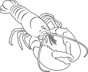 Doodle ocean wave handdrawn outline sketch beach Vector Image