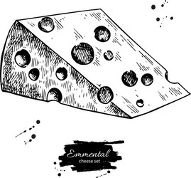 Emmental cheese drawing hand drawn food sketch Vector Image