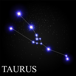 Zodiac constellation taurus Royalty Free Vector Image