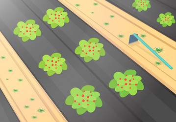 Weed Farm Vector Images (over 5,500)