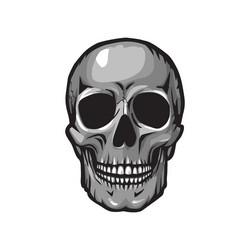 Human skull realistic anatomical model dead mans Vector Image