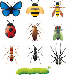 Insect Vector Images (over 180,000)