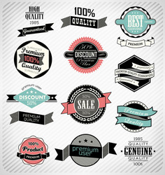 Collection of vintage labels and ribbons Vector Image