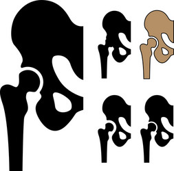 Pelvis icon hip joint the structure of human Vector Image