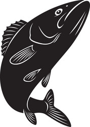Bass fish Royalty Free Vector Image - VectorStock