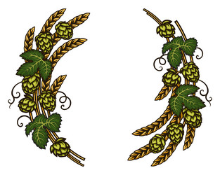 Hops Vector Images (over 41,000)