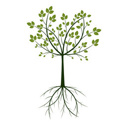 Tree Roots Vector Images (over 14,000)