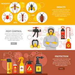 Pest control background Royalty Free Vector Image