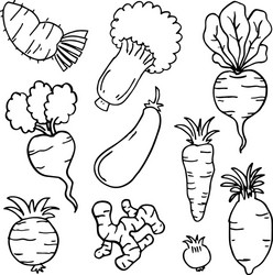 Vegetable set doodles Royalty Free Vector Image