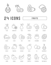 Set of linear icons fruits Royalty Free Vector Image