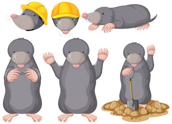Set of mole cartoon character with head Royalty Free Vector