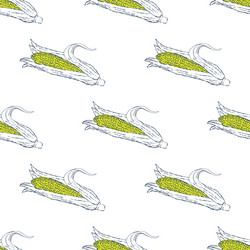 Sweet corn seamless pattern with fresh ripe corn Vector Image