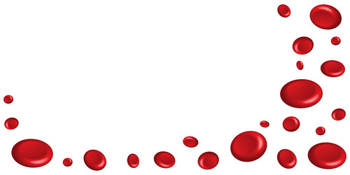 Red blood cells on isolated white background Vector Image