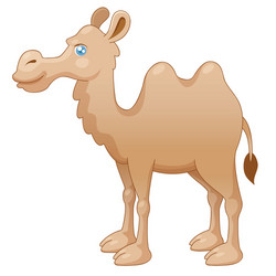 Camel Vector Images (over 15,000)