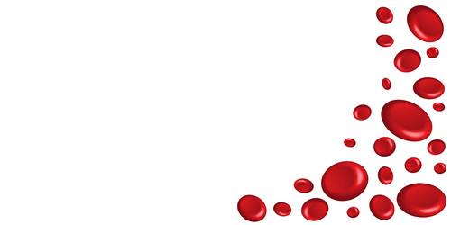 Red blood cells on isolated white background Vector Image