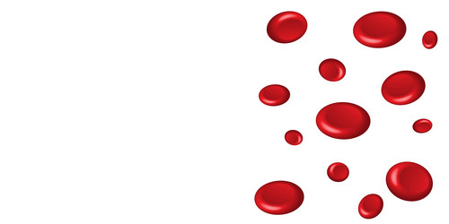 Red blood cells on isolated white background Vector Image