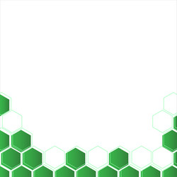 Hexagon decoration border Royalty Free Vector Image