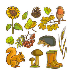 Autumn objects theme set 1 Royalty Free Vector Image