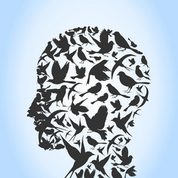 Birds flying human head Royalty Free Vector Image