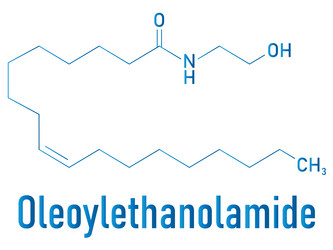 Oea Vector Images (31)