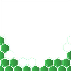 Hexagon decoration border Royalty Free Vector Image