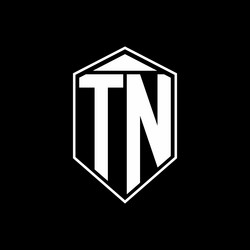 Tn logo monogram emblem style with crown shape Vector Image