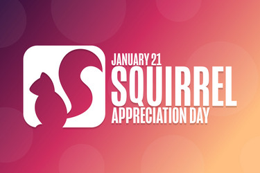 Squirrel appreciation day january 21 holiday Vector Image