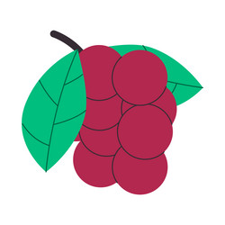 Chokecherry Vector Images (20)