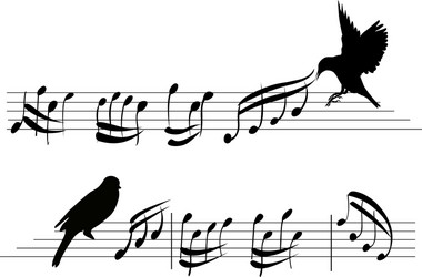 Musical notes with birds Royalty Free Vector Image
