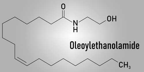 Oleoylethanolamide molecule skeletal formula Vector Image