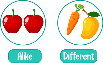 English opposite word awful and excellent Vector Image