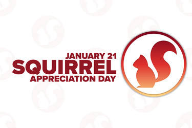 Squirrel Vector Images (over 27,000)