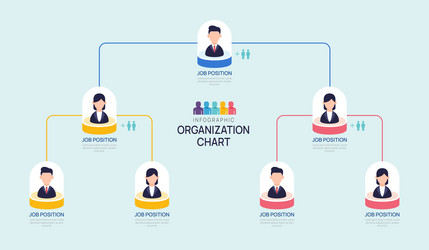 Infographic template for organization chart Vector Image