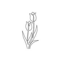 One single line drawing beauty tulip flower Vector Image
