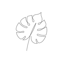 Monstera One Line Vector Images (over 500)