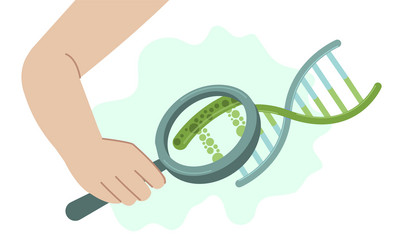 Dna heredity test personal genetic analysis Vector Image