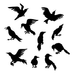 Ravens Vector Images (over 8,000)