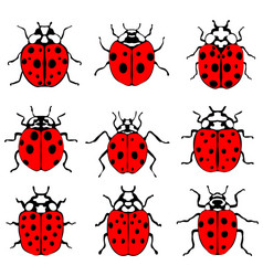 Ladybugs Vector Images (over 23,000)