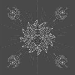 With hand drawn wasp and sacred symbol sun Vector Image