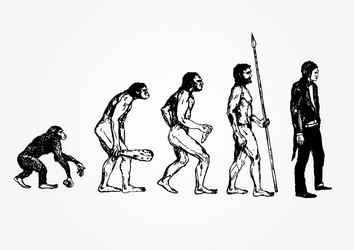 Evolution Vector Images (over 59,000)