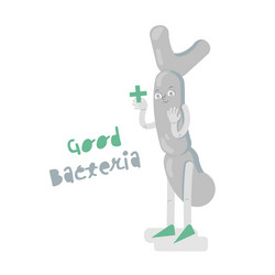 Cute funny intestine organ with good bacterias Vector Image