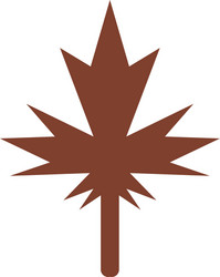Star with canadian maple leaf Royalty Free Vector Image
