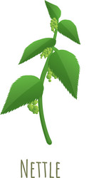 Nettle Icon Vector Images (over 270)