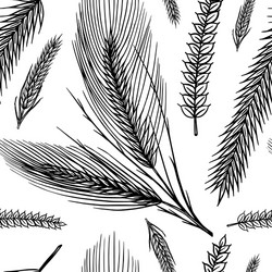 Drawn Vintage Wheat Vector Images (over 4,100)